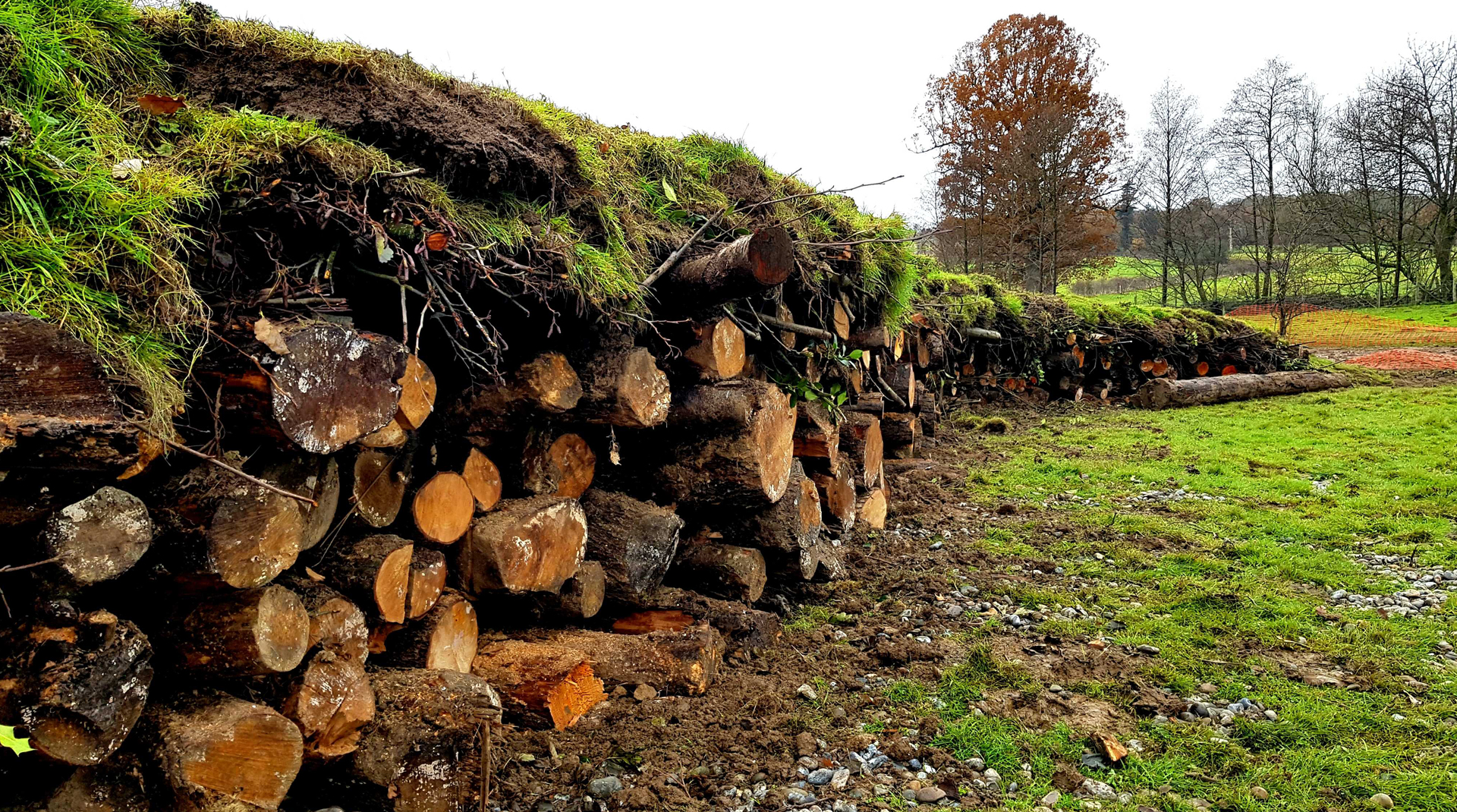 River Bewl Restoration Project | FiveRivers