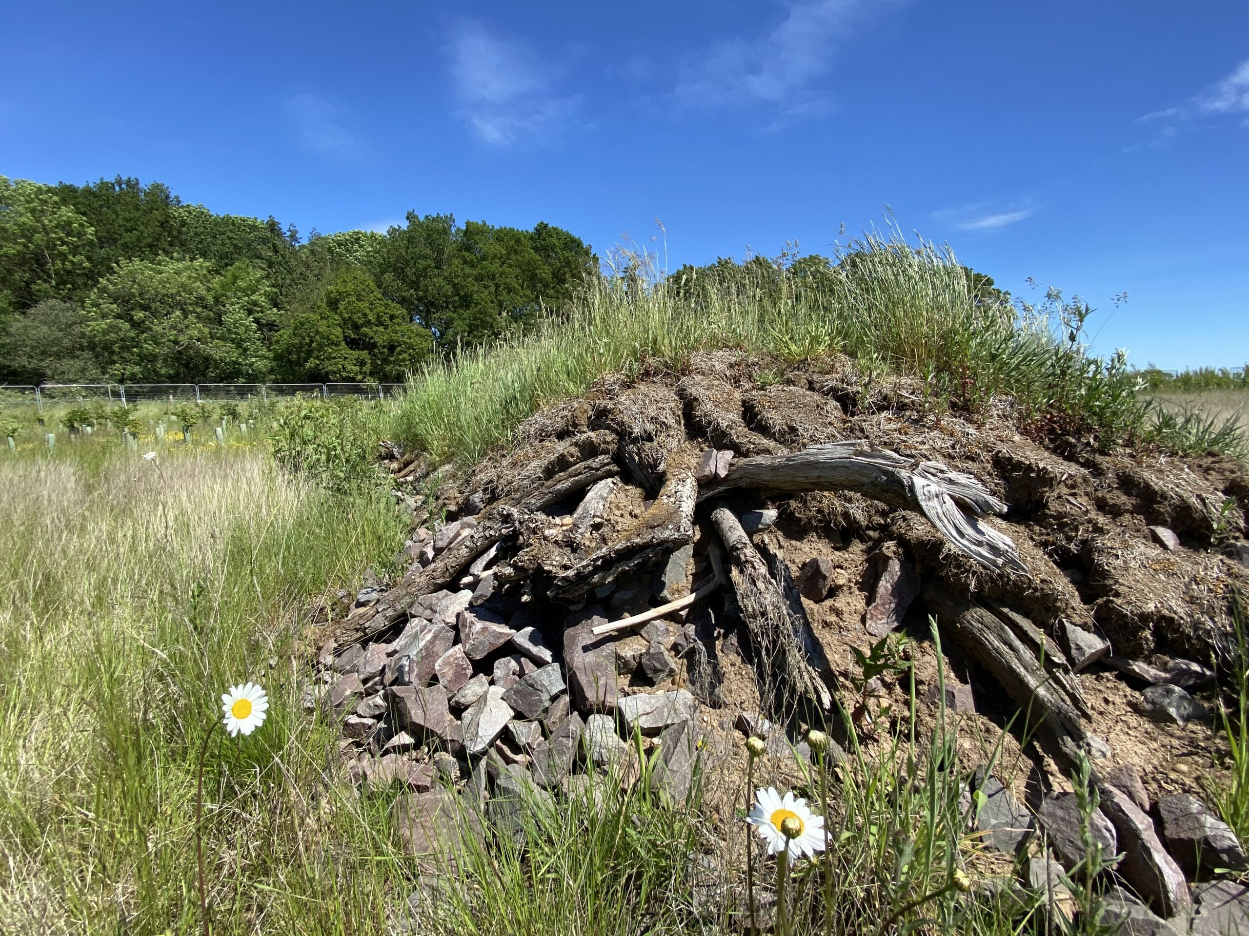 Hibernacula Creation | FiveRivers