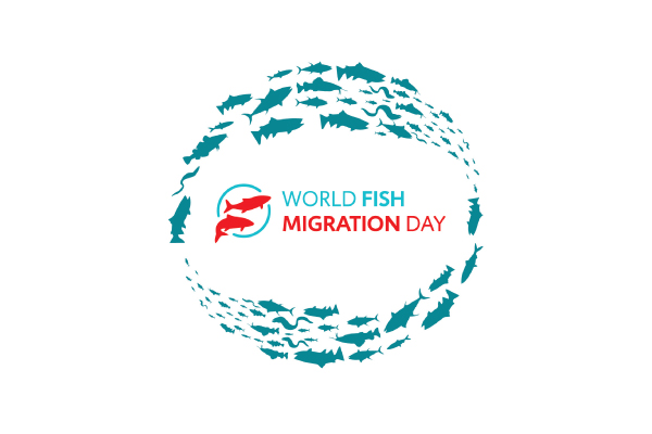World Fish Migration Day - FiveRivers