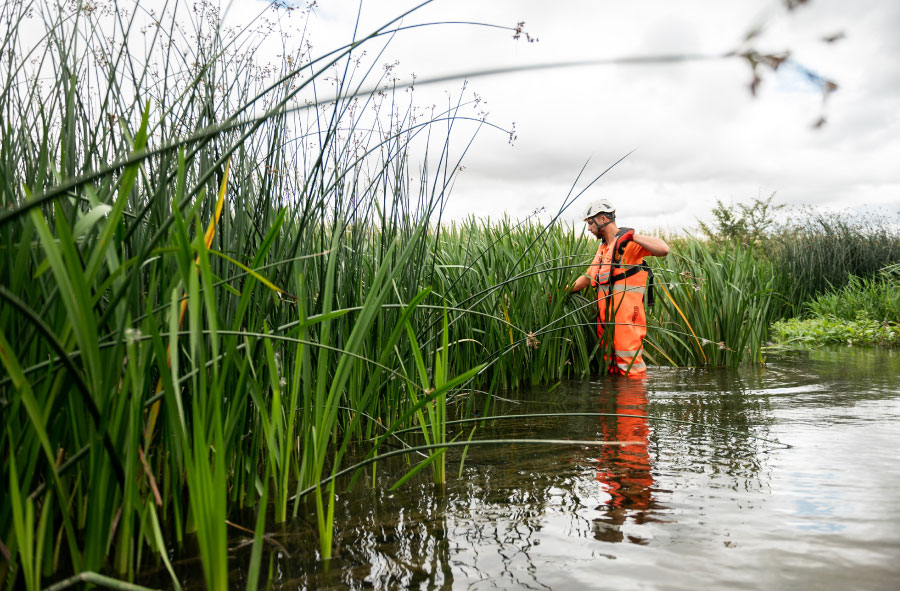 Habitat Creation & Habitat Restoration | FiveRivers