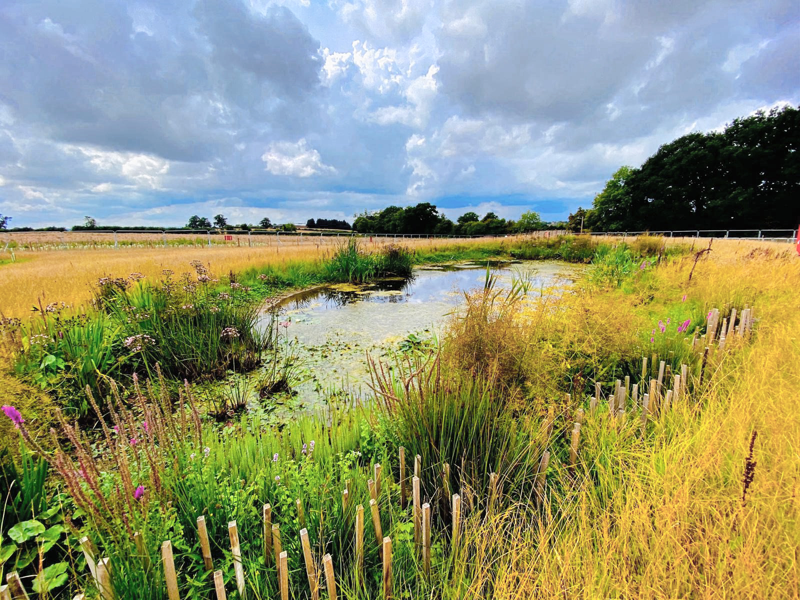 Ecological Mitigation | FiveRivers Environmental Consultant