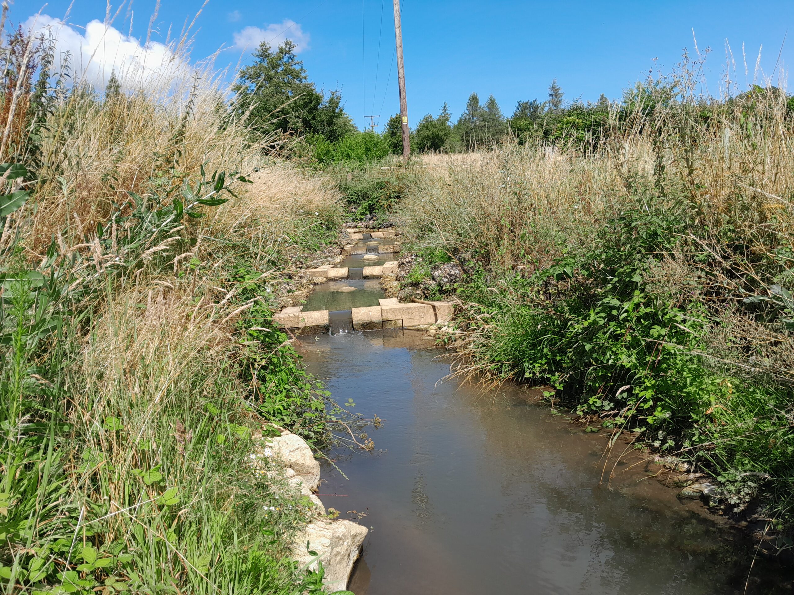 Merriott Stream Enhancement Project | FiveRivers