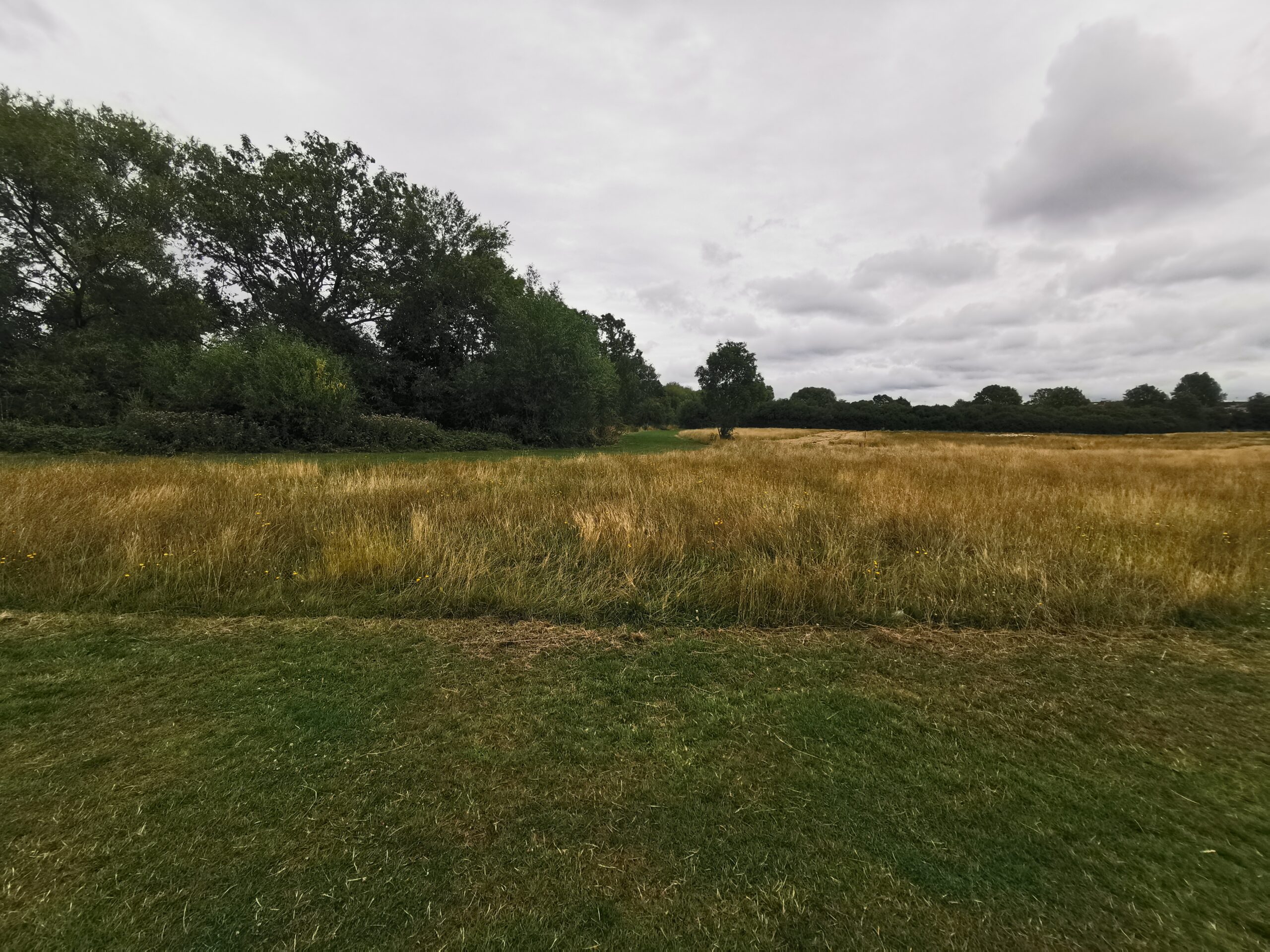 Contract Award - Spider Park River Restoration | FiveRivers