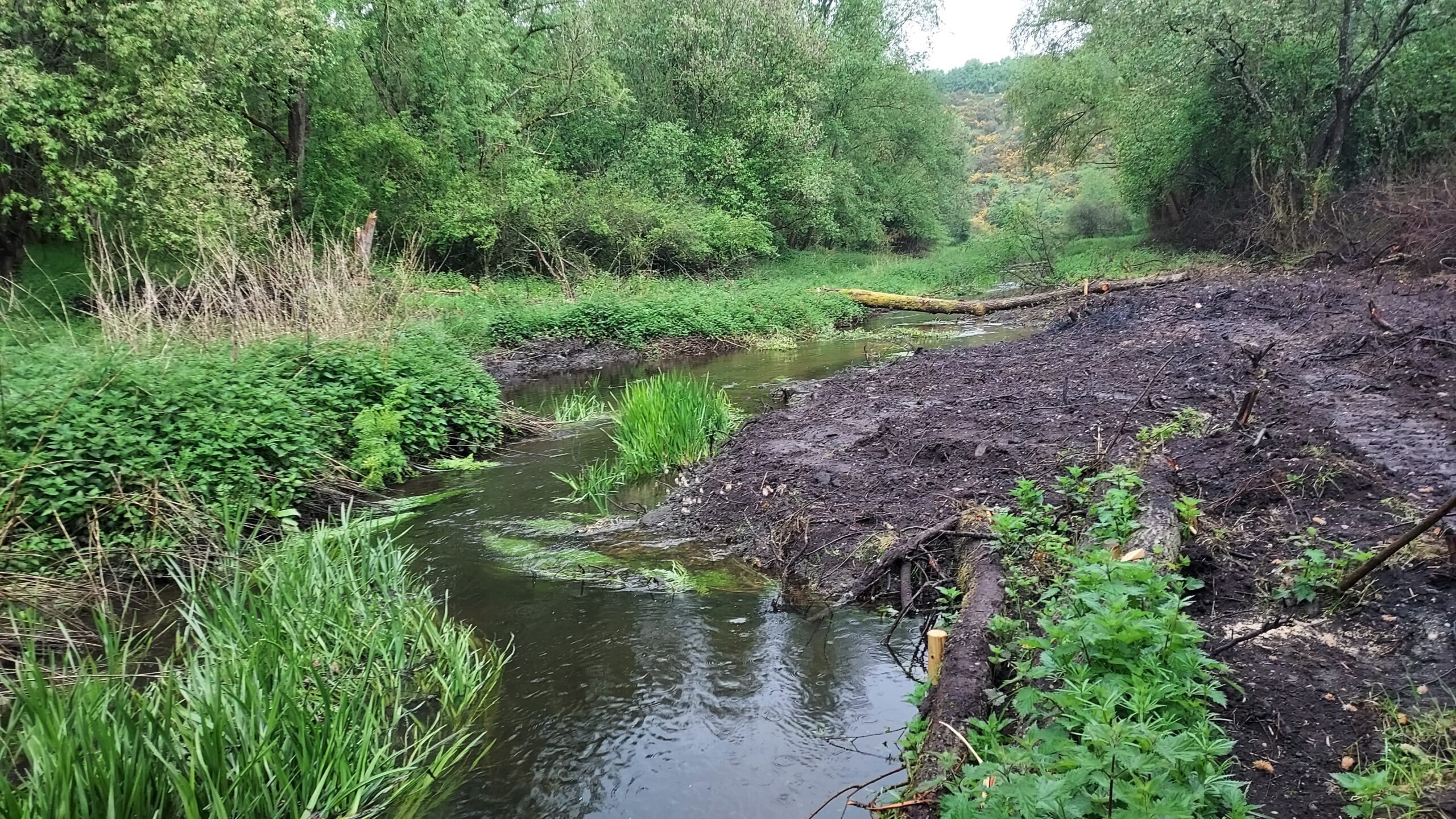 Rainworth Water Restoration Project Update | FiveRivers
