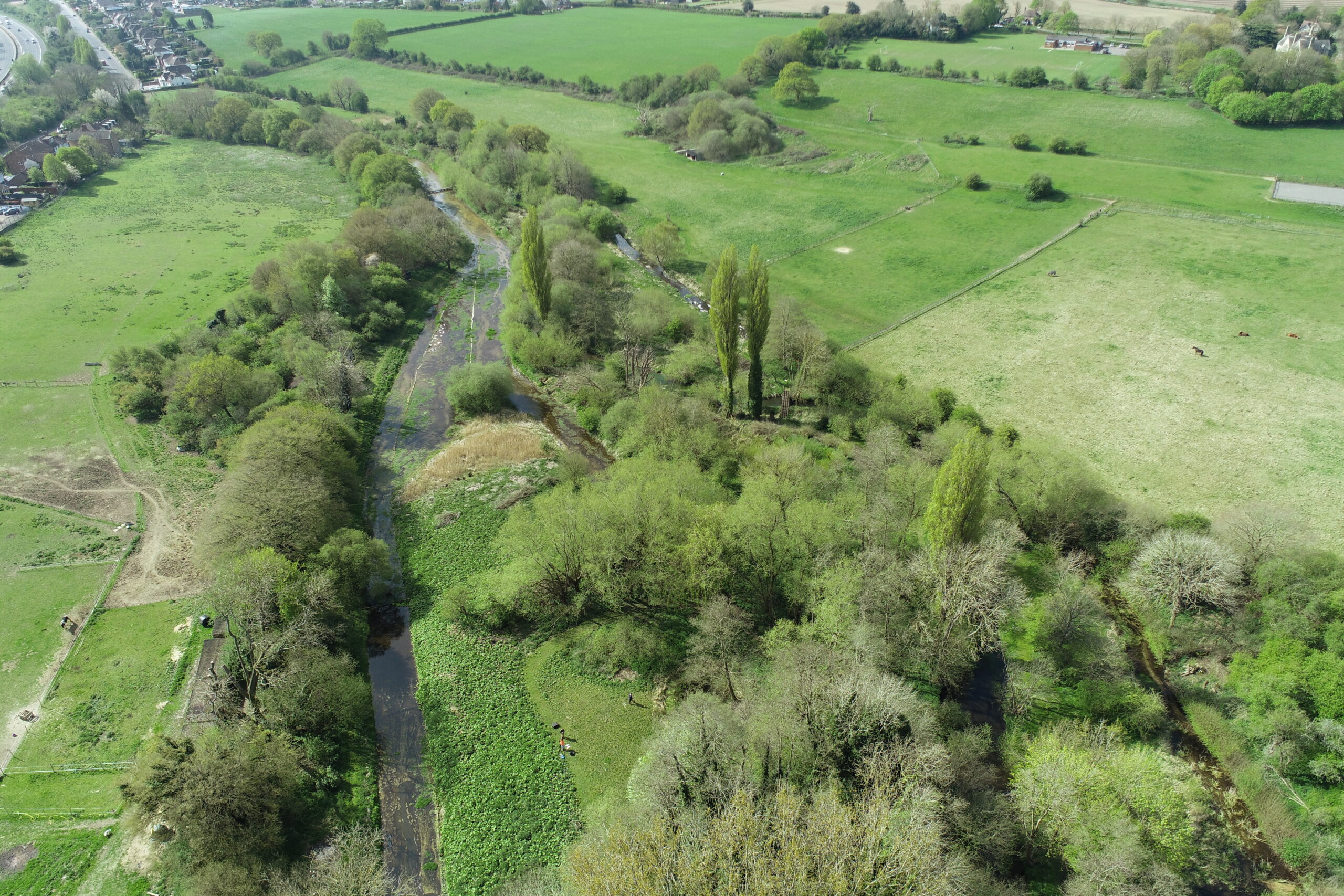 River Lea River Restoration | 5R Environmental Consultant