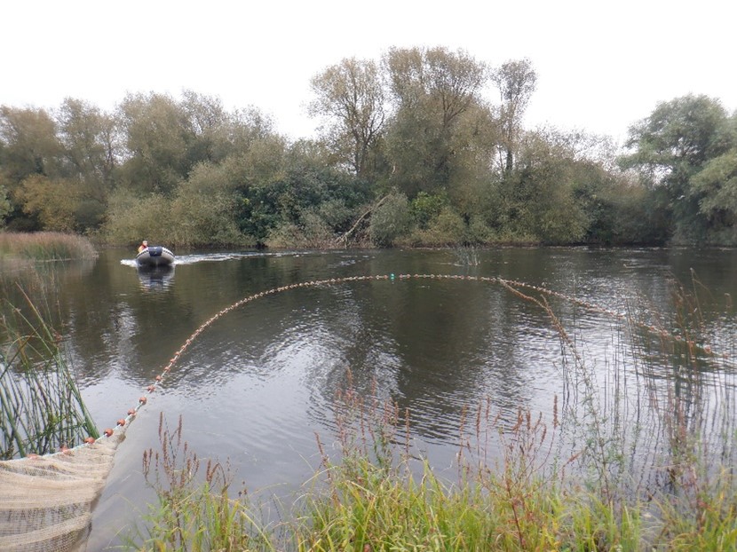 Fish Survey on Orchard Lake & RCA Survey | FiveRivers